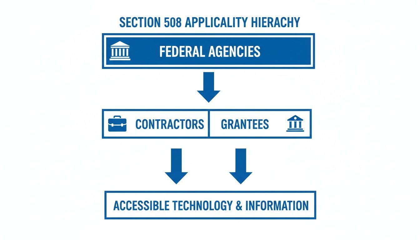 What Is 508 Compliance A Guide to Digital Accessibility Law